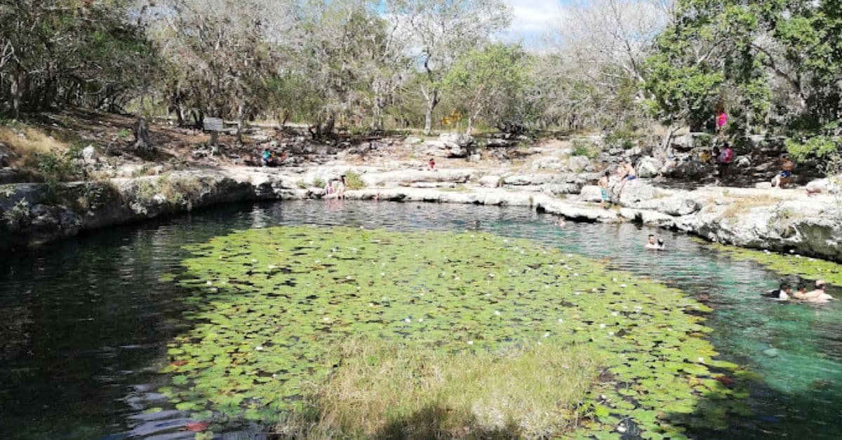 Cenote Xlacah: Un Espejo Sagrado en Dzibilchaltún 💧🌿 - Aztecas