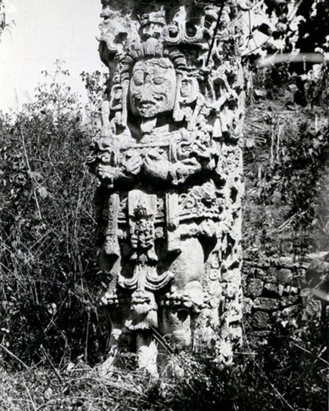 Las Estelas de Copán: El Lenguaje Secreto de los Mayas 🗿📜 - Aztecas